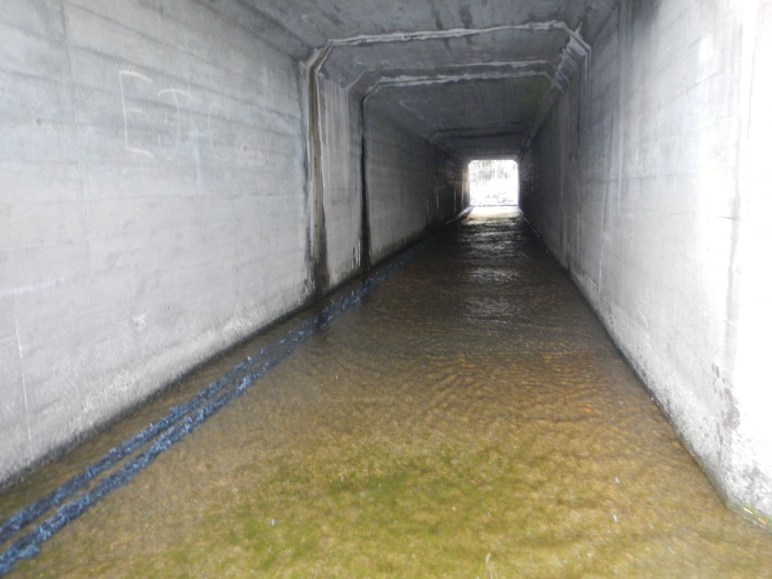 Using Mussel Spat Rope to Facilitate Small Fish Passage in Culverts ...