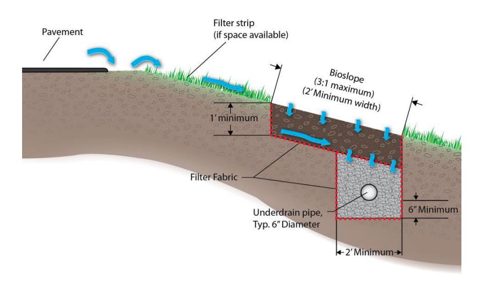 Using Regional Materials to Manage Stormwater Runoff | Crossroads