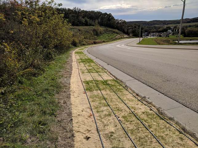 Exploring Region-Specific Roadside Turfgrass Varieties | Crossroads