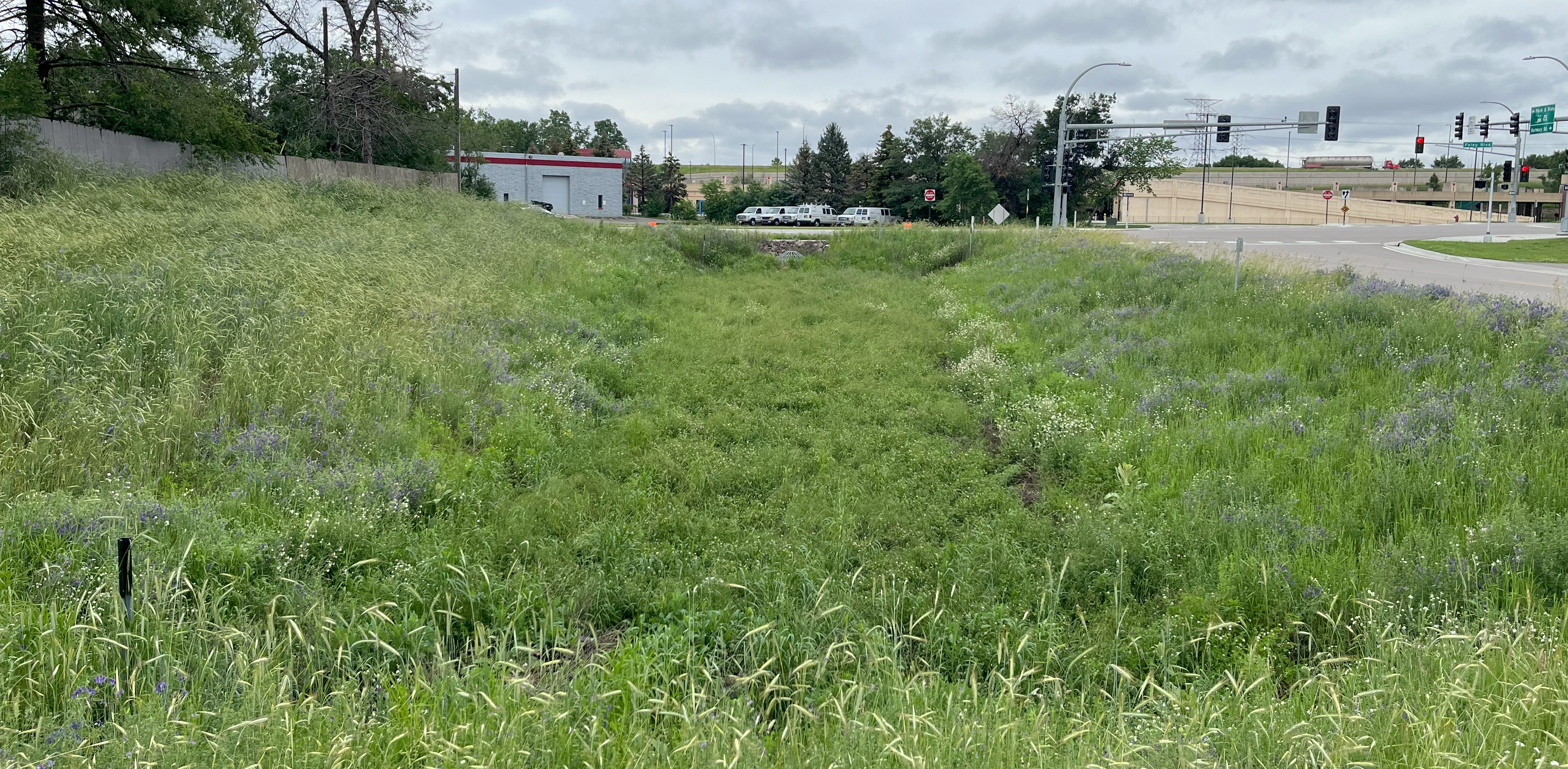 Identifying Factors That Affect Stormwater Basin Performance | Crossroads